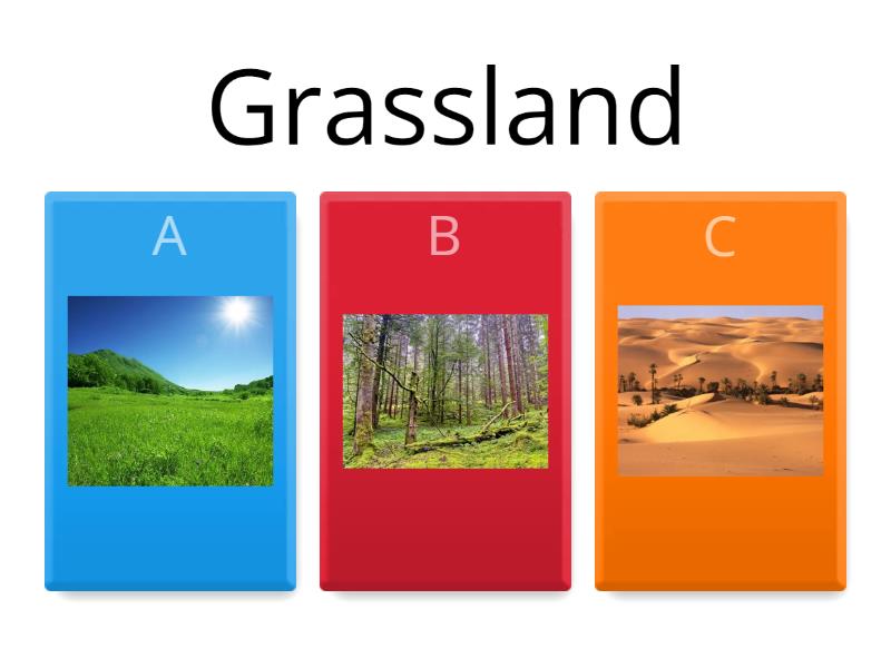 Environmental - Quiz