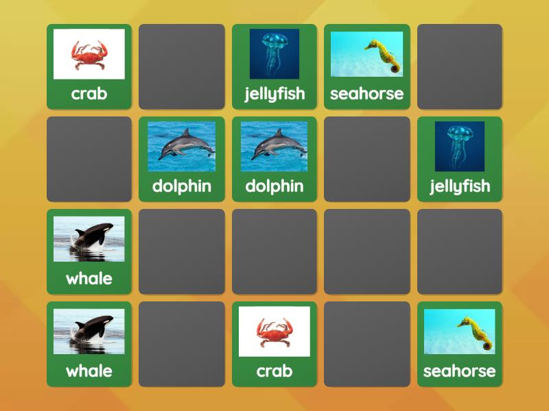 Sea Animals - Matching pairs