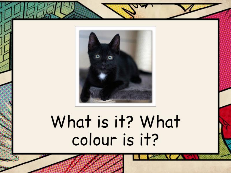 Fly High 2 Unit 1 and 2 Colours / Numbers - Flash cards