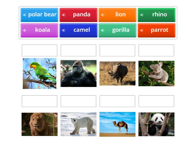 TT 4 Unit 5 Animals in danger. Lesson 4: Vocabulary - Match up
