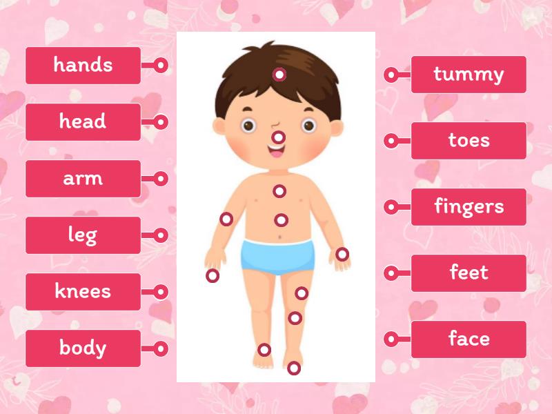 tt1 unit 1 body - Labelled diagram
