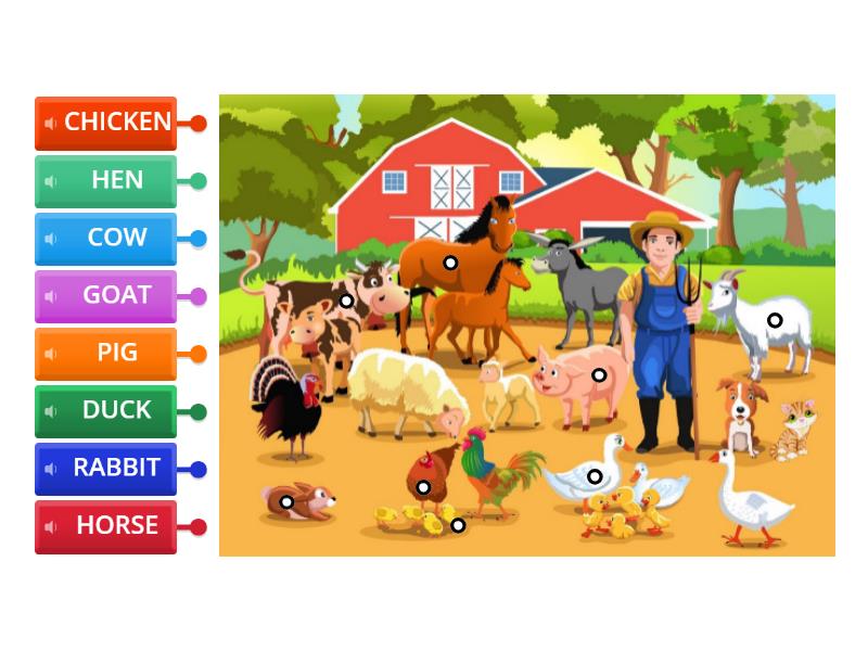 Farm animals - Labelled diagram