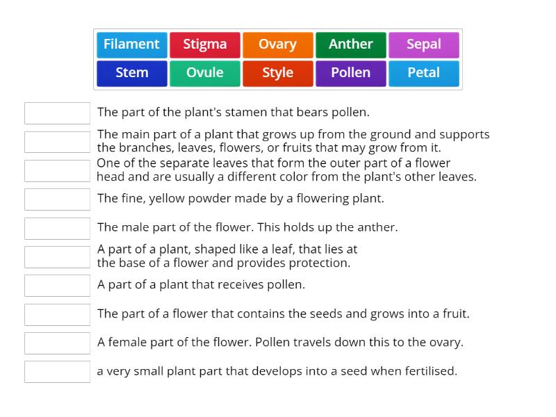 Parts of a Flower-description - Associação