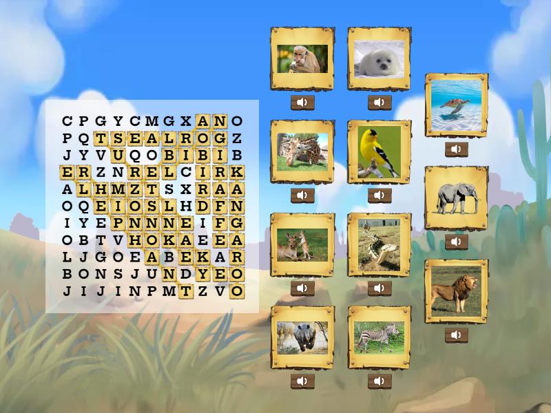 Hats On 3B Unit 9 - Wordsearch