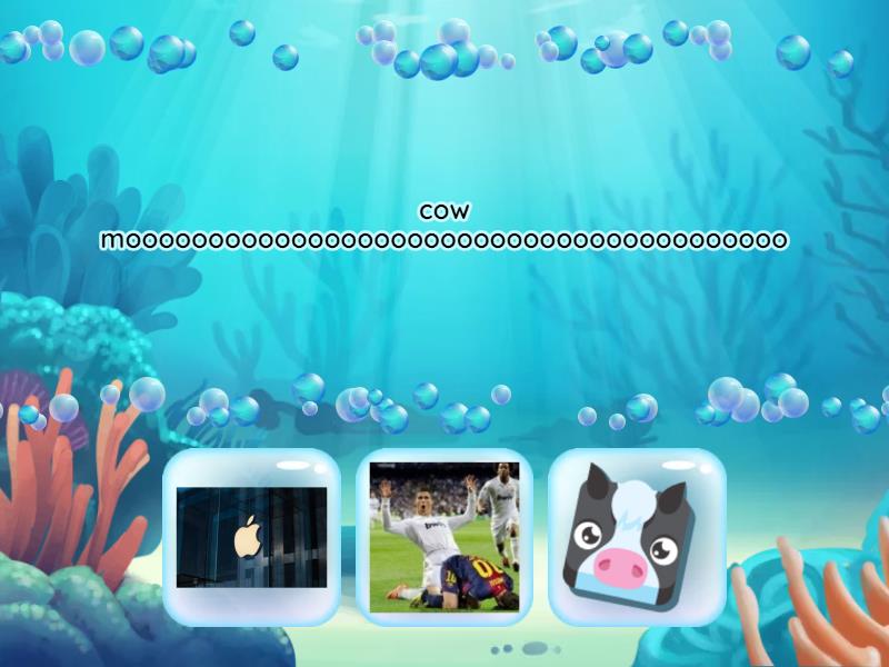 populer - Find the match