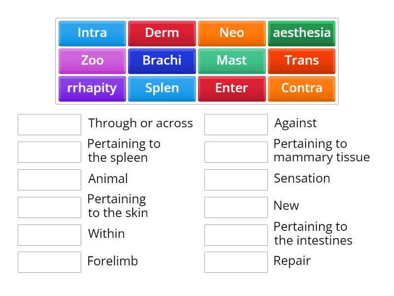 Week 102 - Terminology - Match up