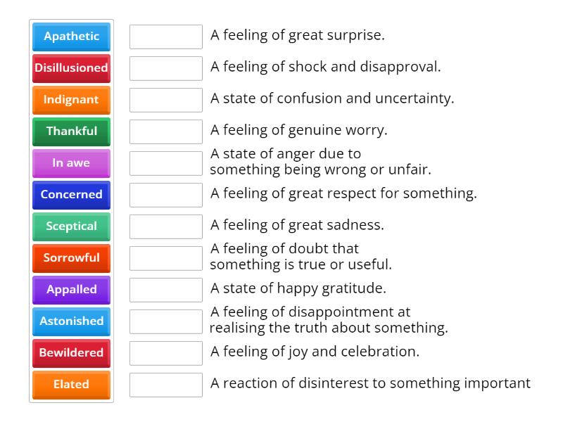 Perspective Vocabulary - Match up