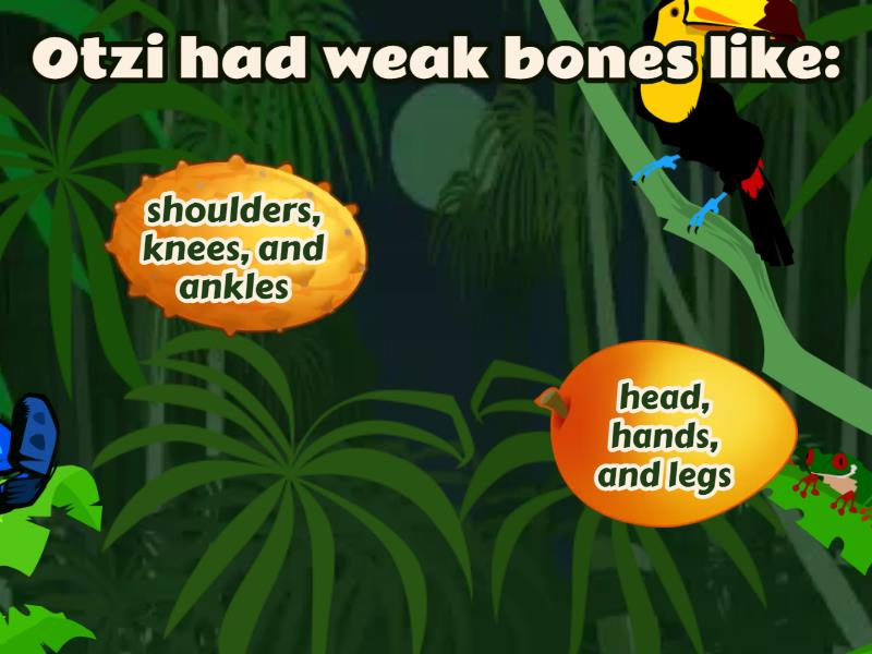The Mystery of Otzi the Iceman - Flying fruit