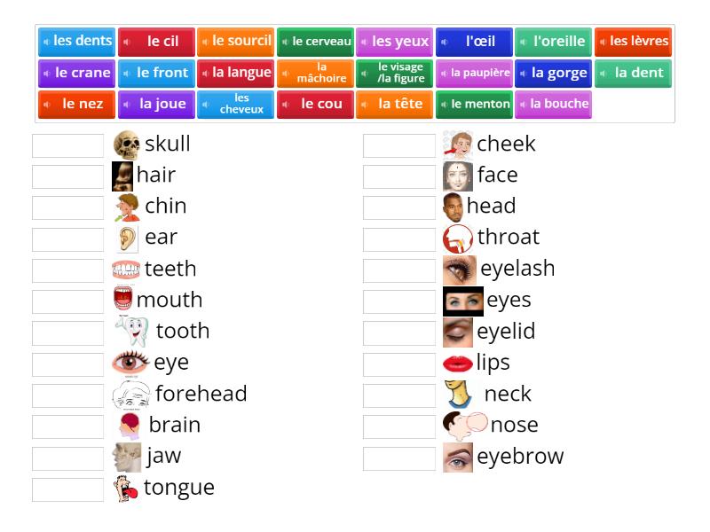 Les parties du visage / La figure - Parts of the face - Match up