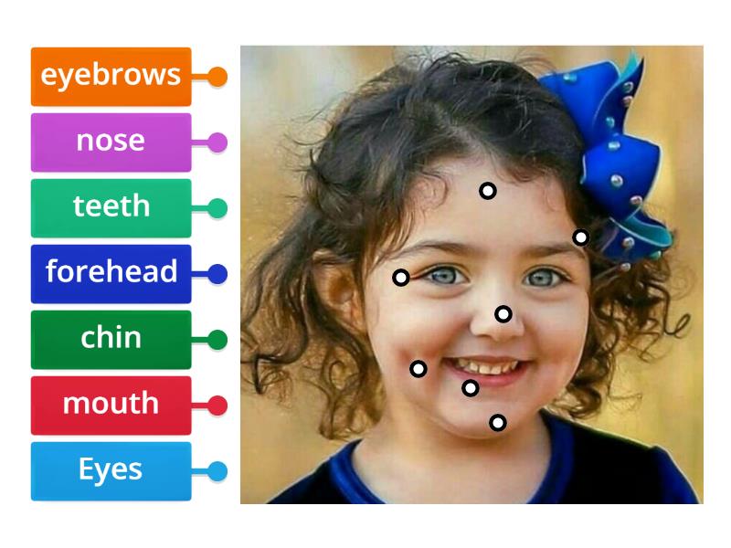 Parts of the face - Labelled diagram
