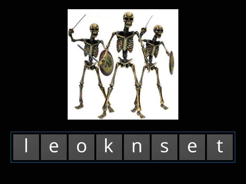 Parts of the human skeleton - Anagram