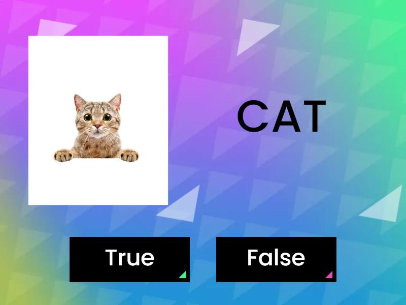 Pets - True or false