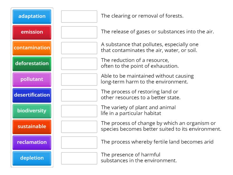 Environmental Issues Vocabulary - Match up