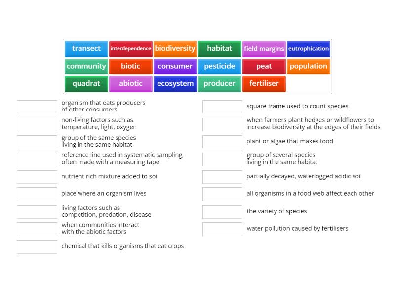 synergy ecosystems and biodiversity key words - Match up