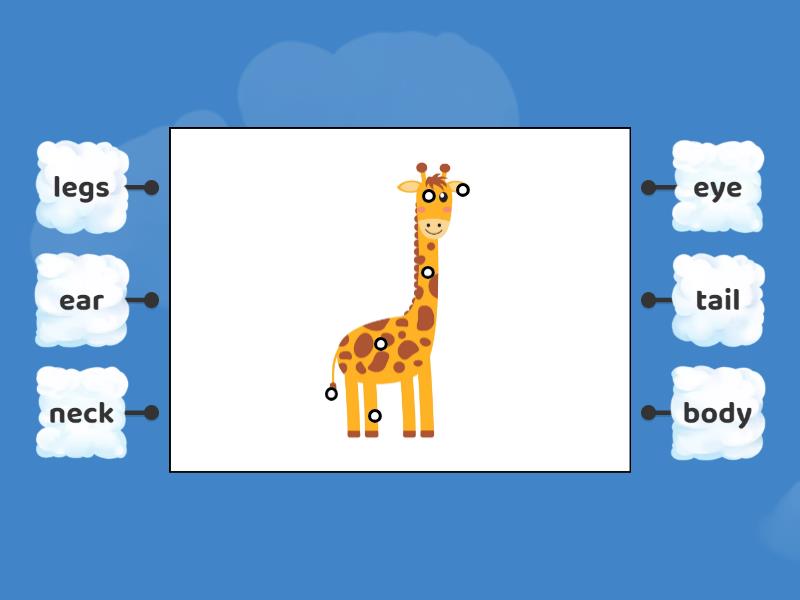 The Giraffe is Tall - Labelled diagram