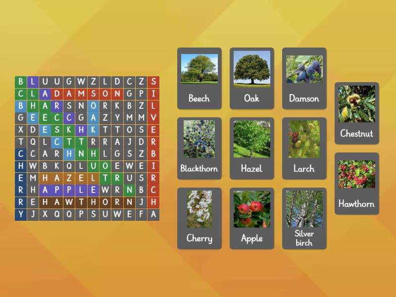 Different Trees - Wordsearch