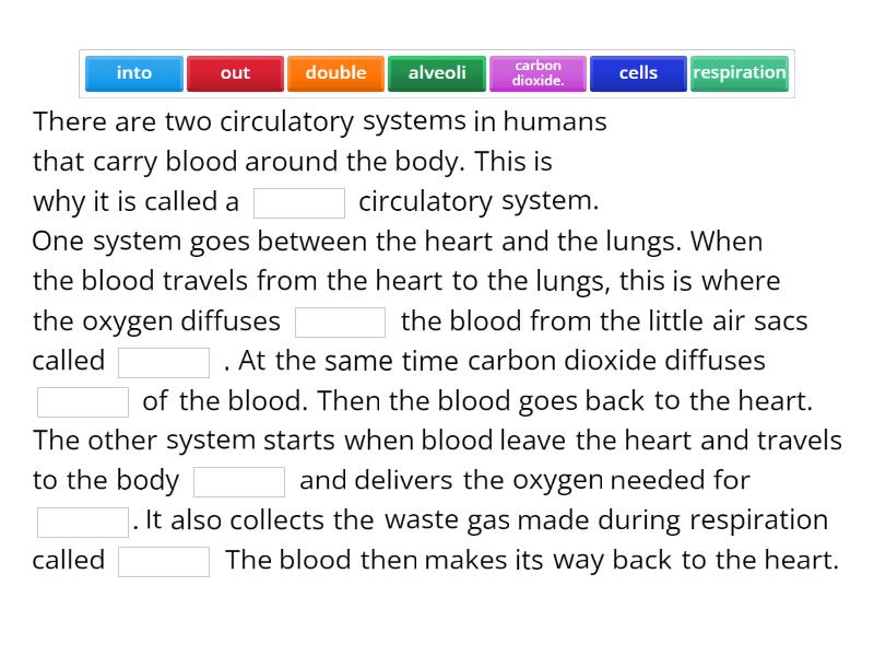Double circulatory system in mammals - scaffold - Complete the sentence