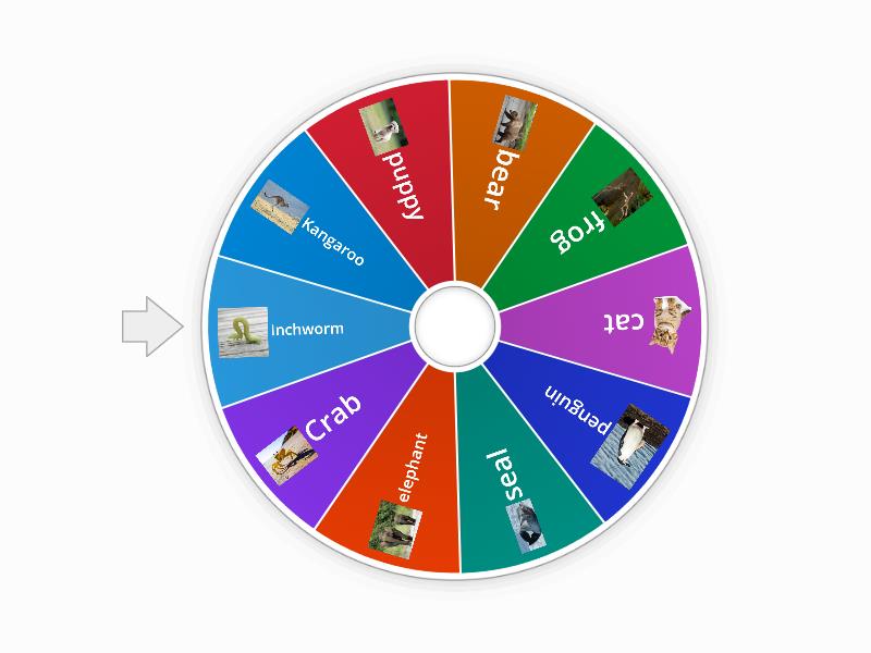 Animal movement - Spin the wheel