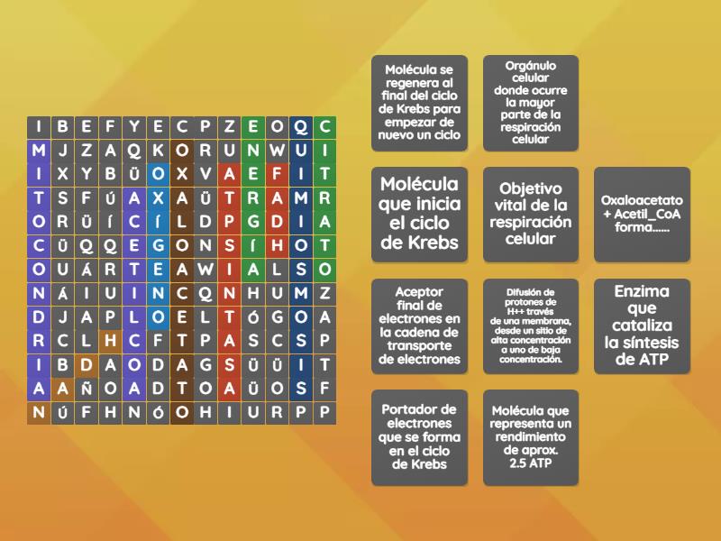 respiración celular - Sopa de letras