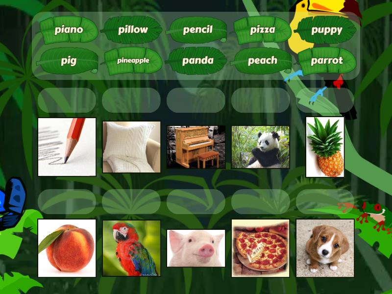 Letter Pp - Match up