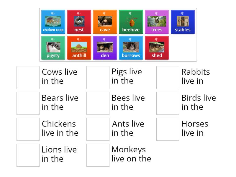 ANIMALS HOMES - Match up