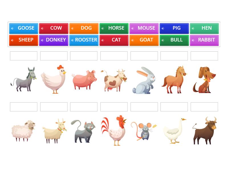FARM ANIMALS - match the name (sound) with picture - Une las parejas