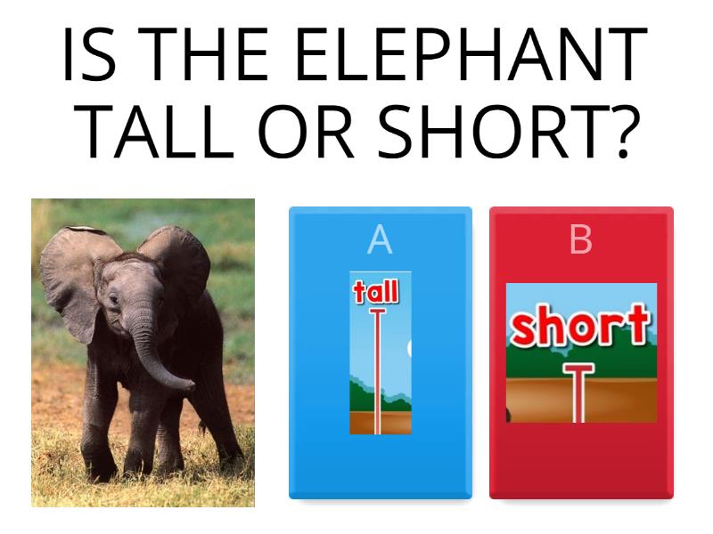 TALL OR SHORT - Cuestionario