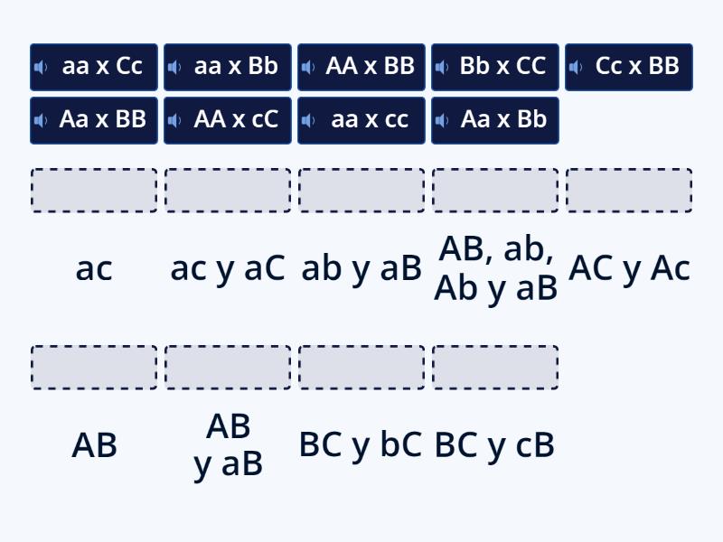 Tabla de Punnet - Match up