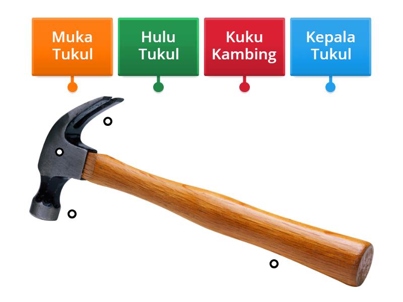 Padankan bahagian tukul kuku kambing dengan jawapan yang betul ...