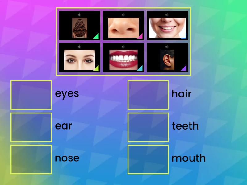 Parts of the body - Match up