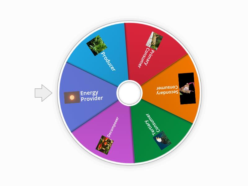 Energy Flow - Spin the wheel