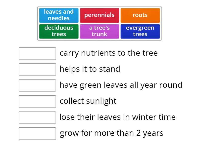 Facts about trees - Match up