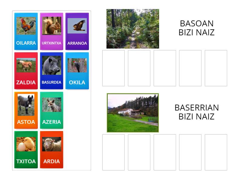 BASOKO ETA BASERRIKO ANIMALIAK - Ordenar por grupo