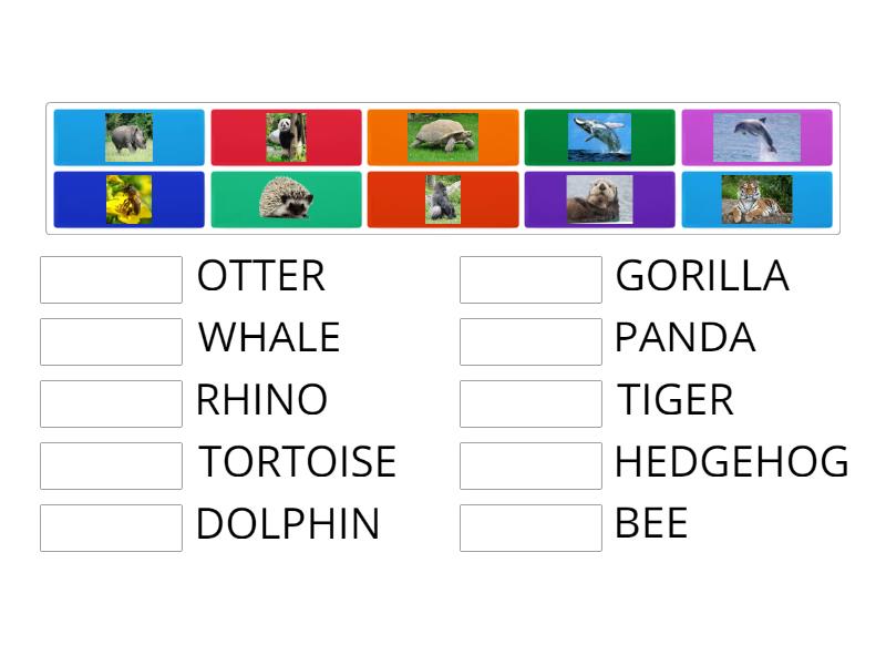 Endangered animals - Match up