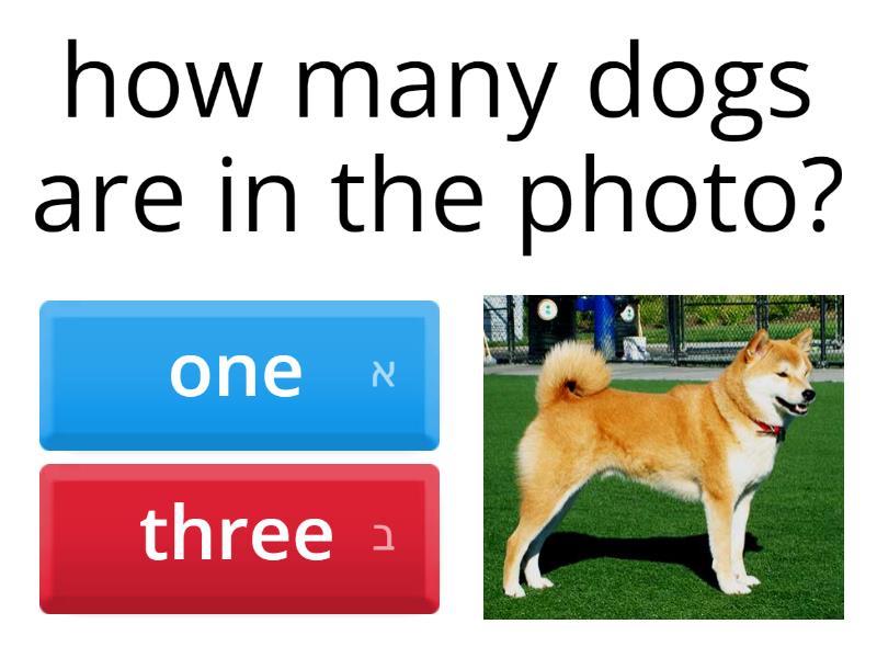 Numbers 1 12 Spelling Quiz