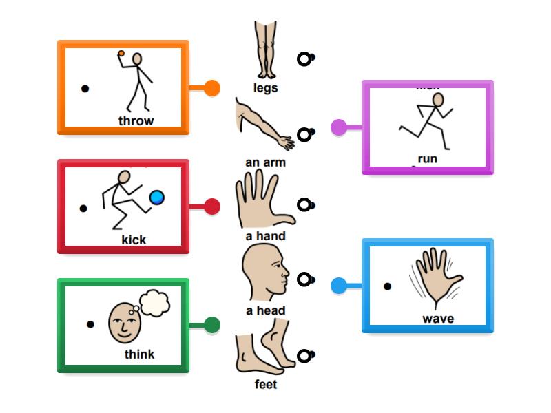 Functions of body parts - Labelled diagram