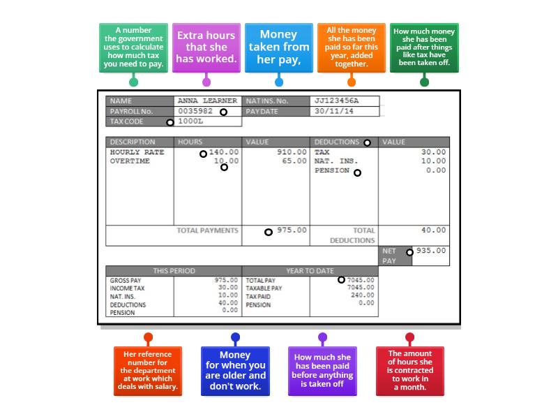 Pay Slip Label Game - Labelled diagram