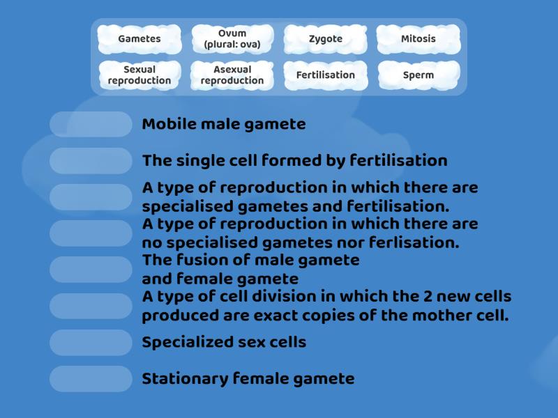 Reproduction- Exercise 1-terminologies - Match up