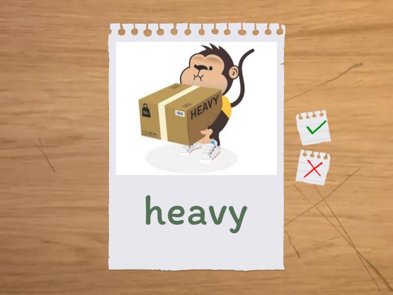 Animal expert - Flash cards