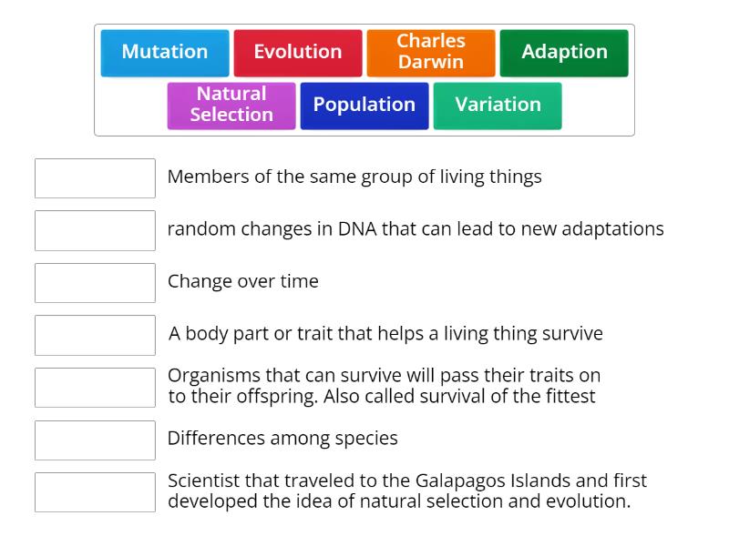 Evolution & Natural Selection - Une las parejas