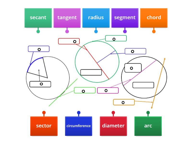 me7a math - parts of the circle - Labelled diagram