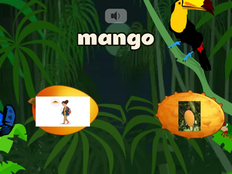 AS2 U3 reading mangoes - Flying fruit