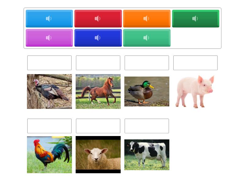 farm animals sounds - Match up