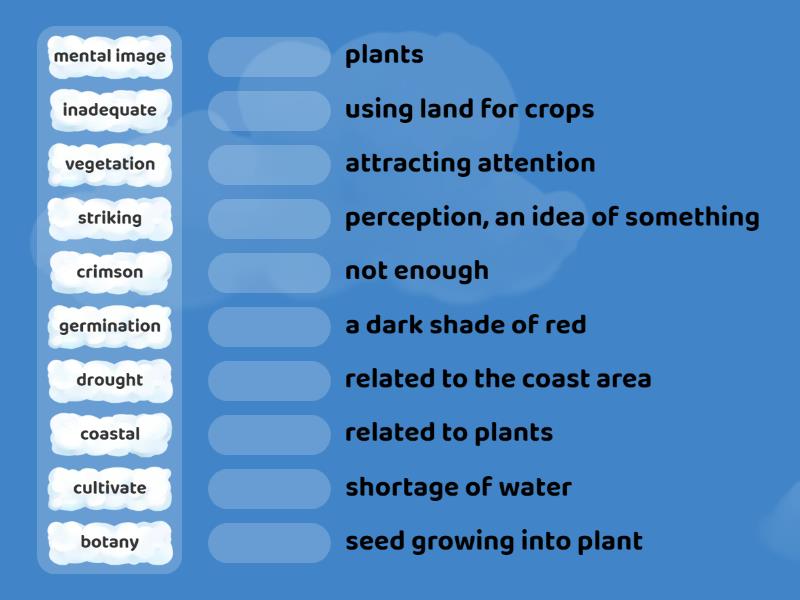 botany trip vocabulary - Match up
