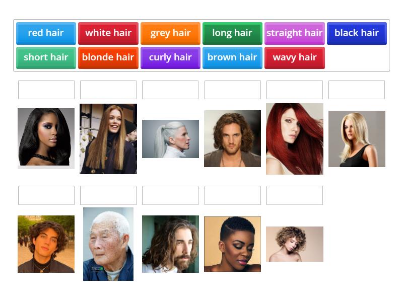 Hair vocabulary - Match up