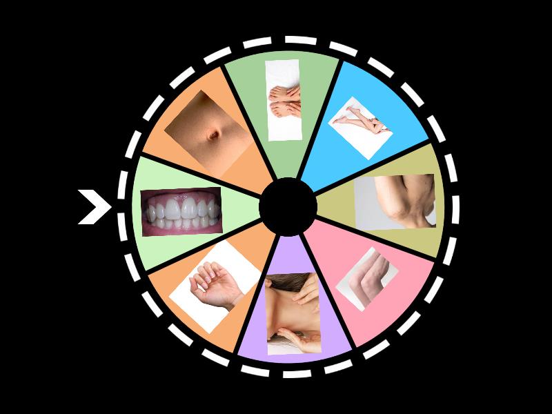 Spinning wheel - body parts (part 2) - MEIE - Spin the wheel