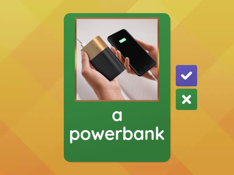 What should we take in our tour? - Flash cards