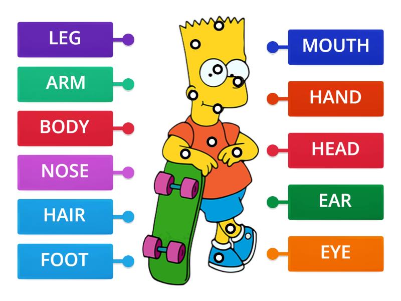 STARTERS BODY PARTS - Labelled diagram