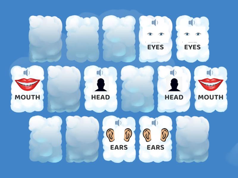 Body parts memory - Matching pairs