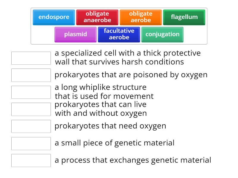 Bacteria & Archaea - Match up